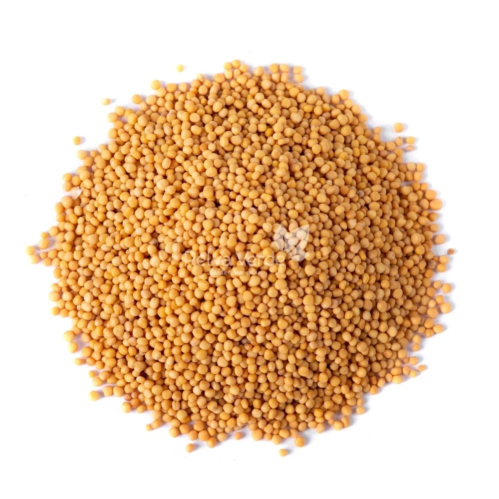 Mostarda em Grãos 100g - Atacado de Produtos Naturais